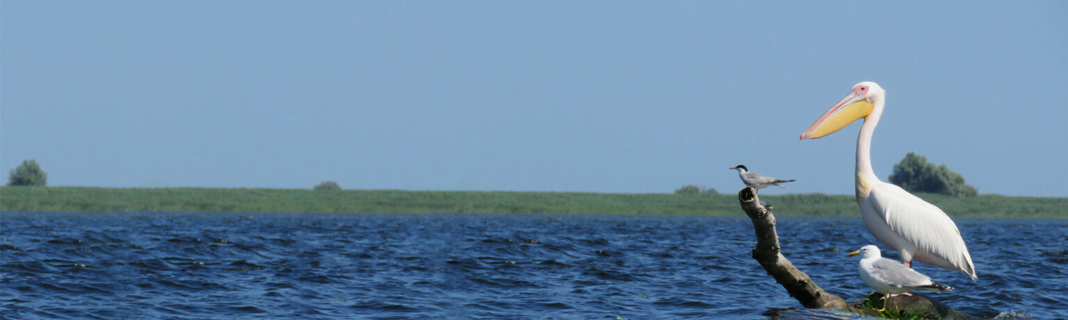 Das Donaudelta | Sulina im Donaudelta, Rumänien