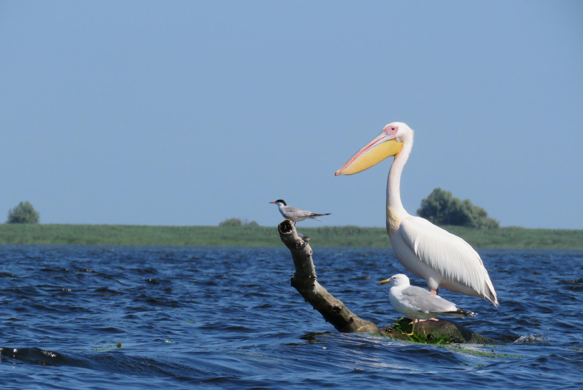 Sulina in the Danube Delta | Discover Sulina | Danube Delta, Romania